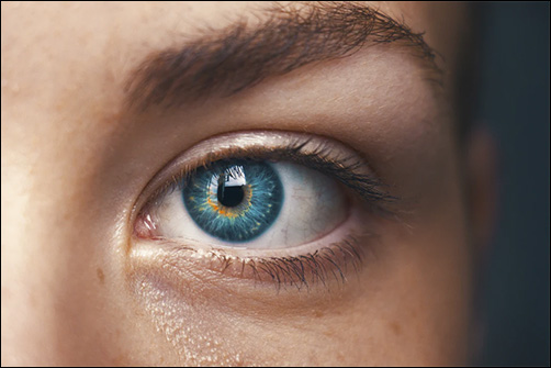 What Is EMDR Green Door Therapy